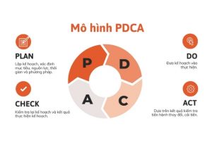 PDCA là gì? Chi tiết cách áp dụng chu trình PDCA hiệu quả - ACCESSTRADE Việt Nam